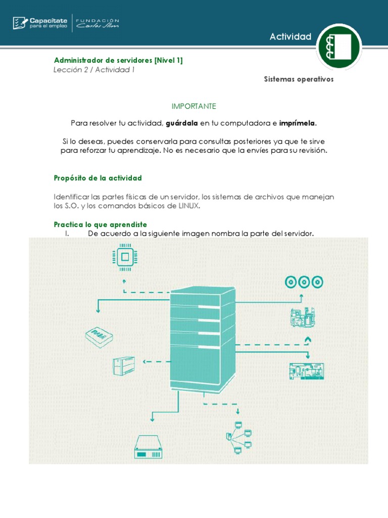 Taller de Comandos para Linux | PDF
