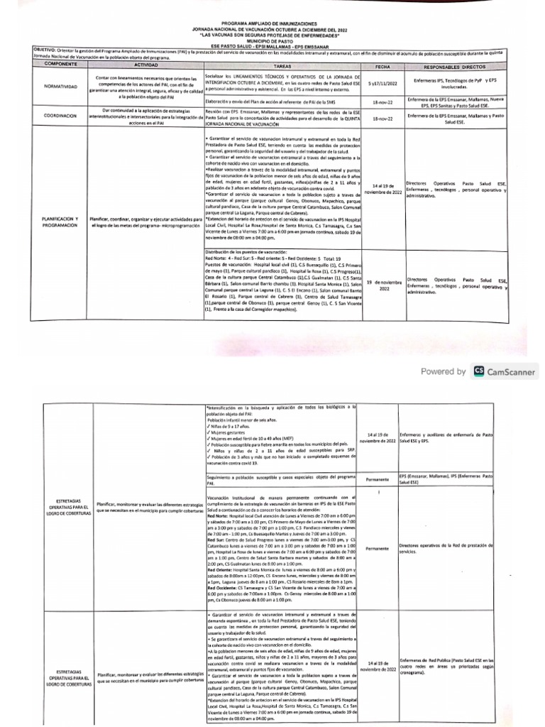 Plan de Accion Jornada de Vacunacion Firmado | PDF