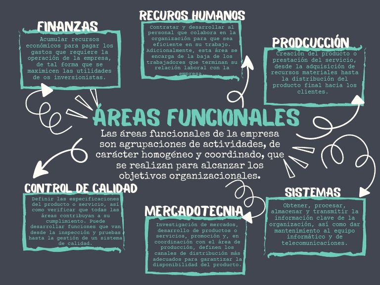 Áreas Funcionales | PDF | Calidad (comercial) | Business