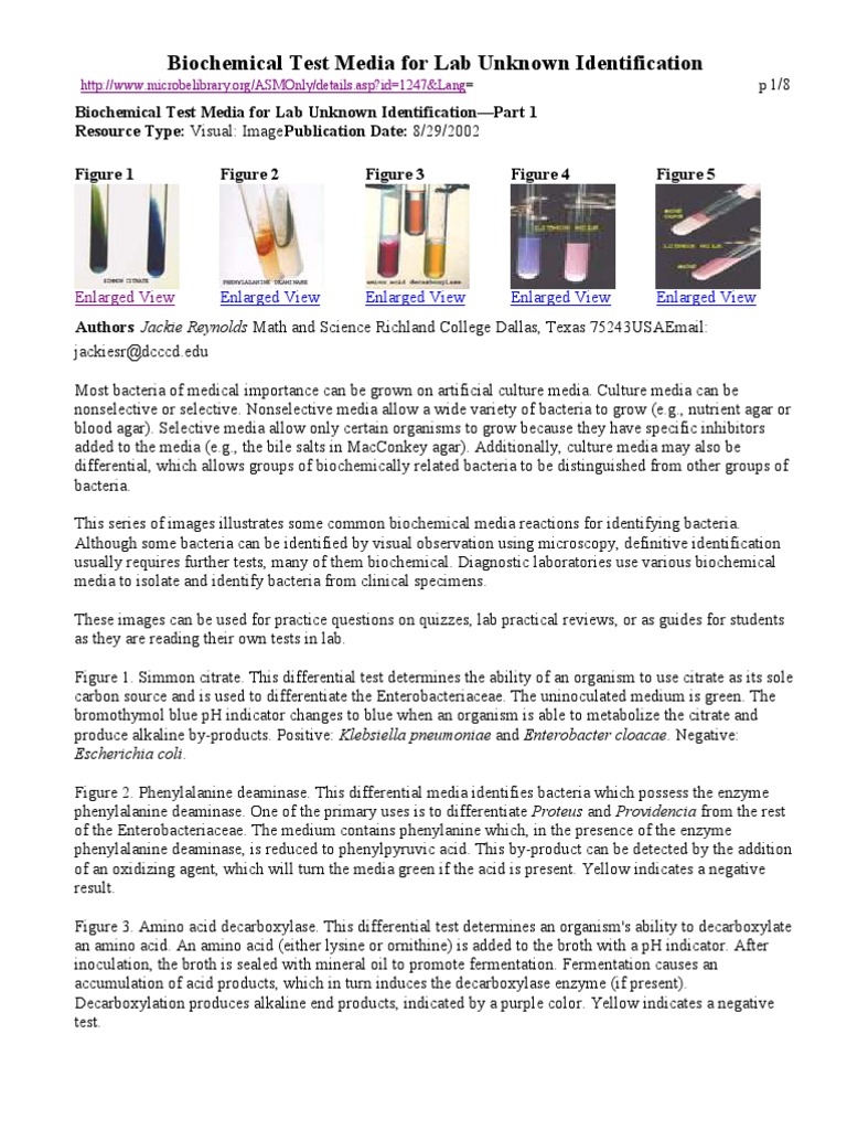 Biochemical Test Media For Lab Unknown Identification | PDF | Growth ...