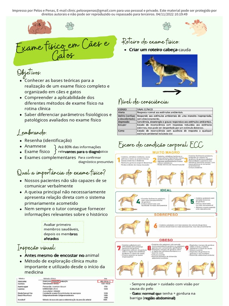 Exame Físico em Cães e Gatos | PDF