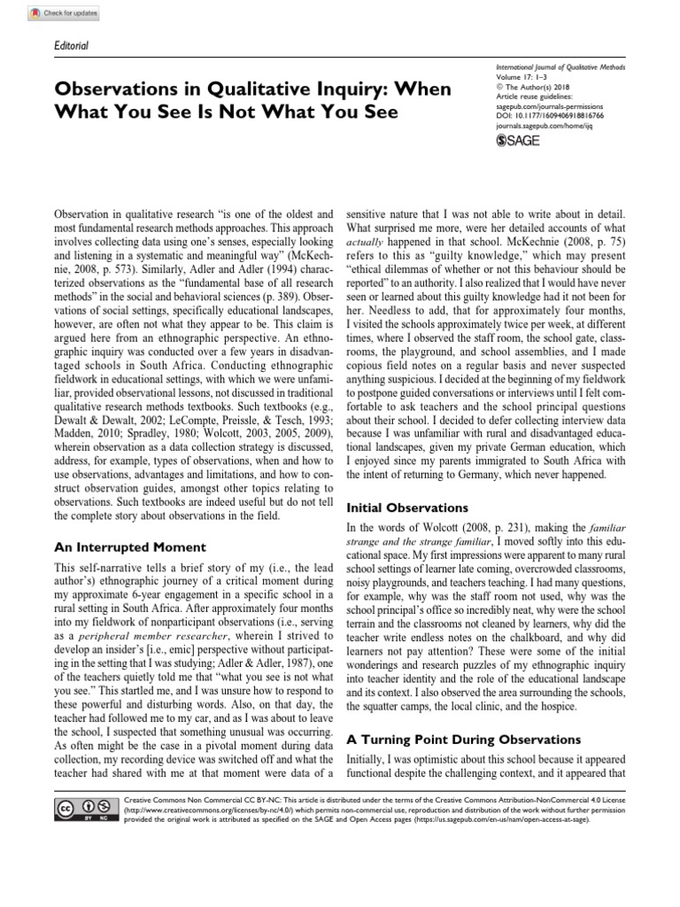 Ethnographic Insights on School Observations | PDF