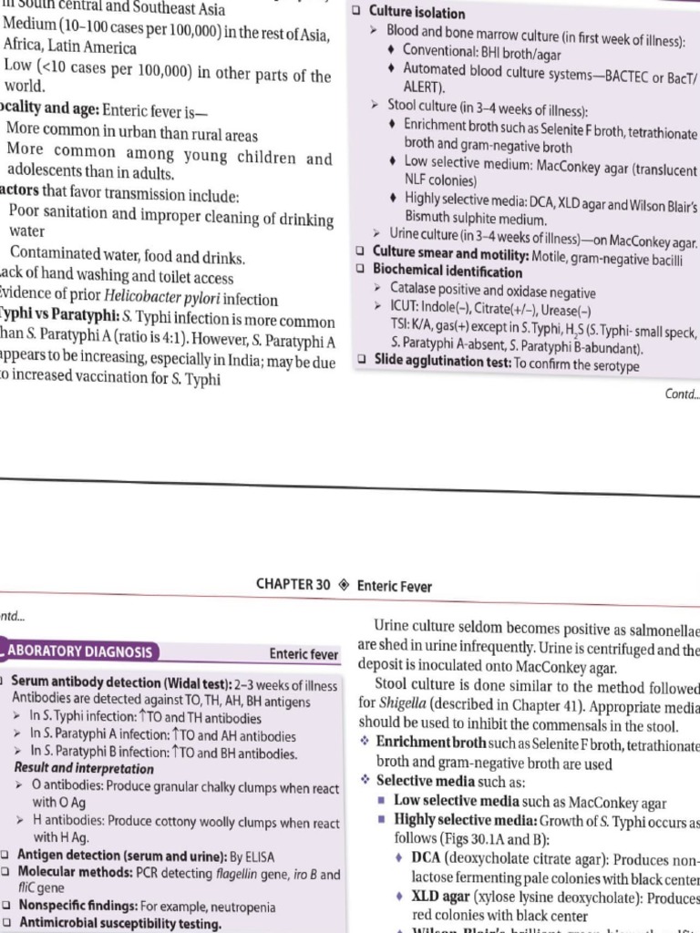 Micro Lab Diagnosis | PDF