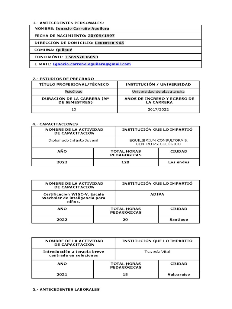 CV Ignacio Carreño | PDF | Negocios