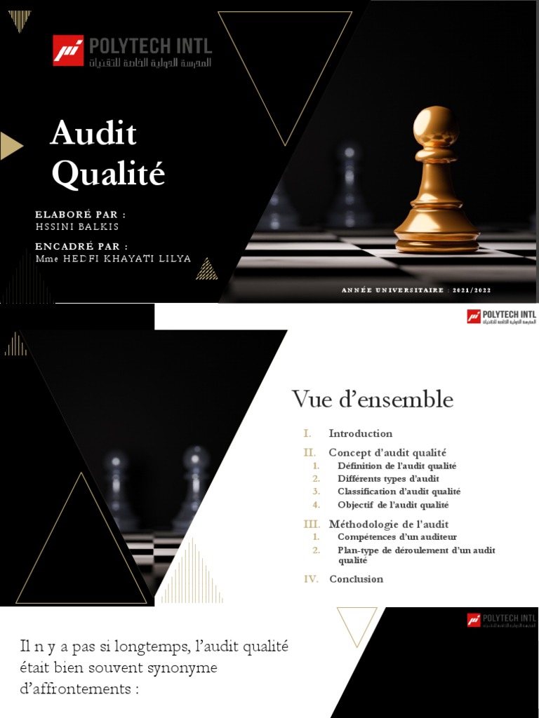 Guide Pratique de l'Audit Qualité | PDF