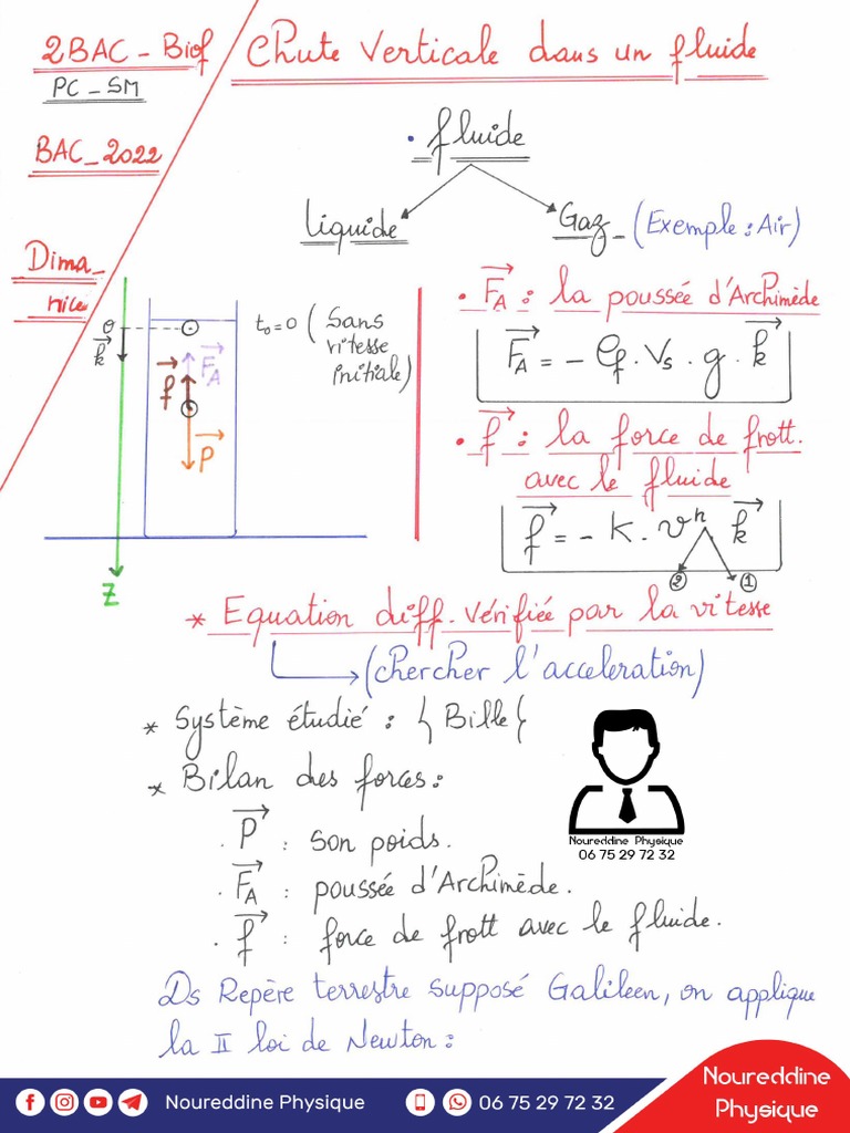 Chute verticale dans un fluide - Cours + Exercice Corrigé | PDF