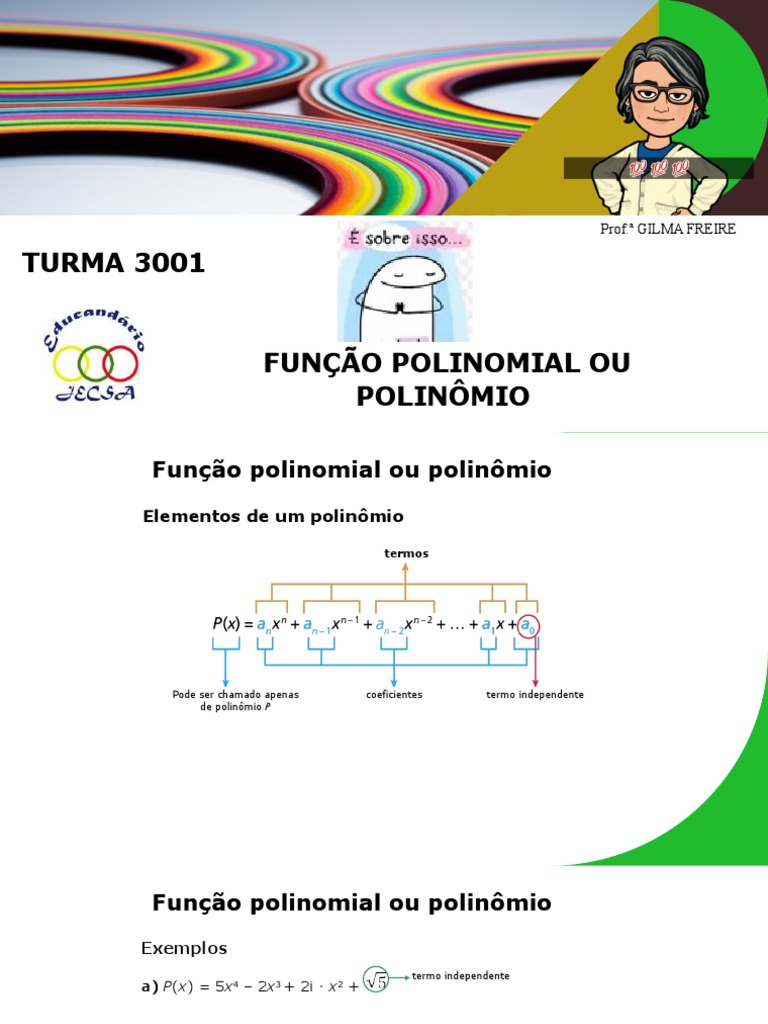 Função Polinomial: Definições e Exemplos | PDF