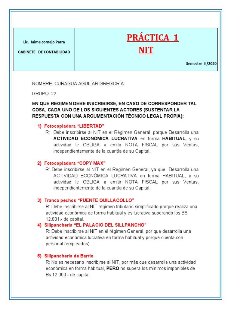 Practica N°1 Nit | PDF