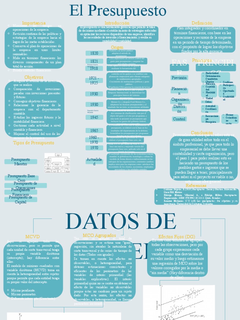 Mapa Conceptual Presupuesto | PDF