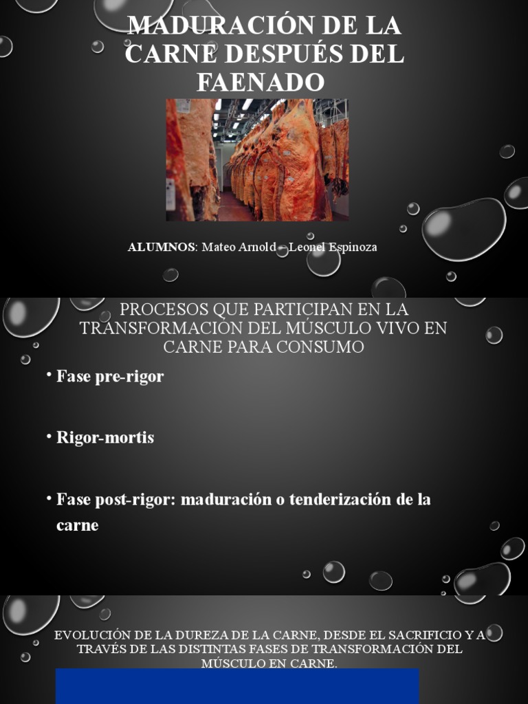 Maduracion de La Carne | PDF