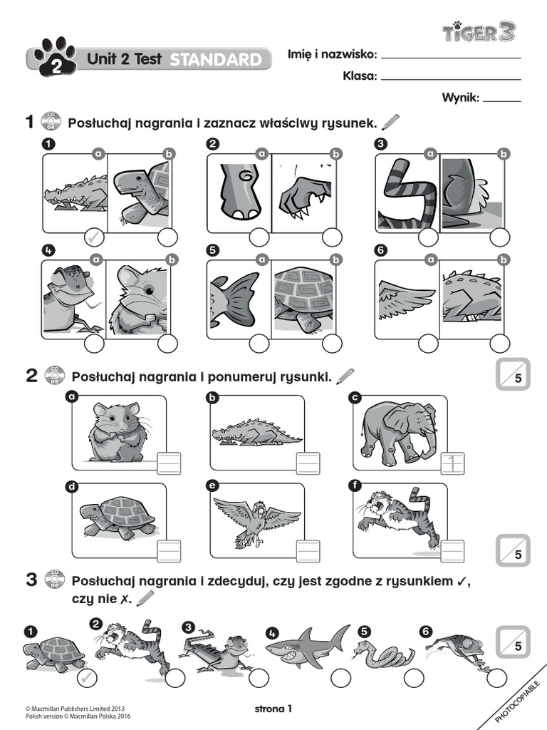 Tiger 3 Unit 2 Test Standard | PDF