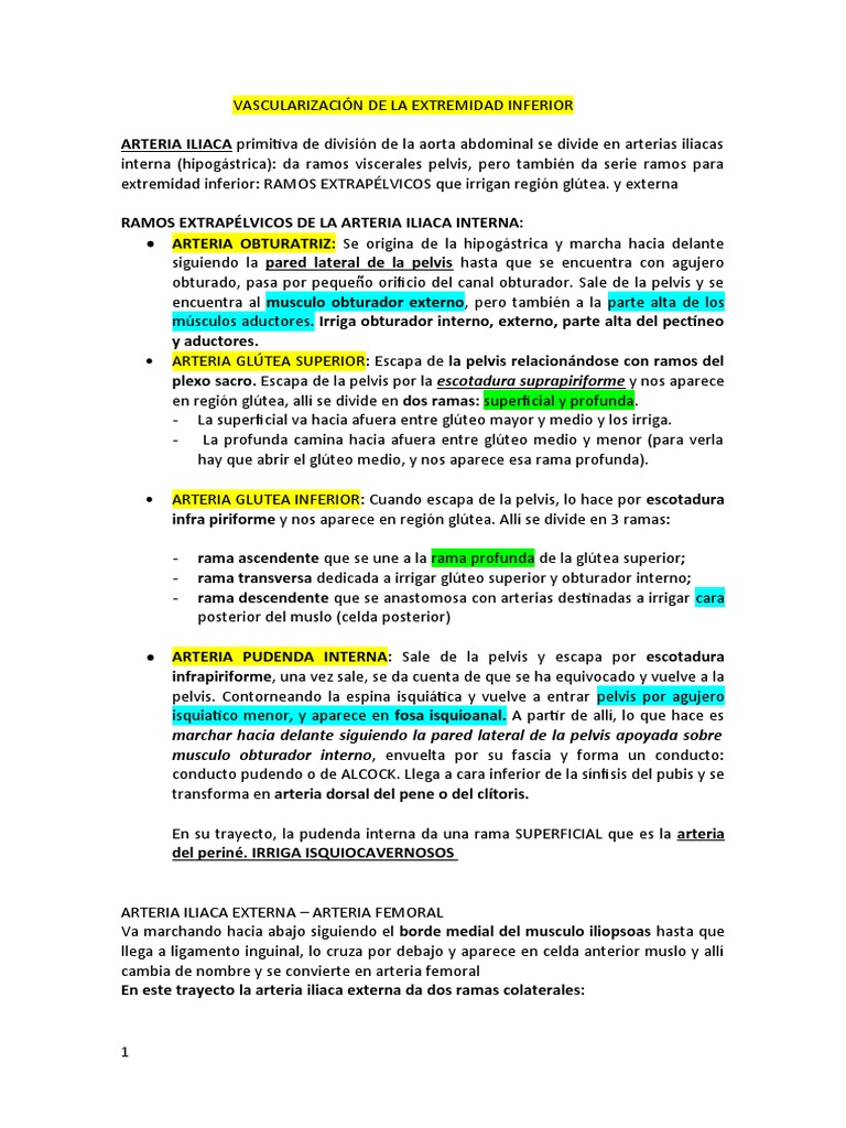 VASCULARIZACIÓN DE LA EXTREMIDAD INFERIOR | PDF | Pie | Anatomía del ...