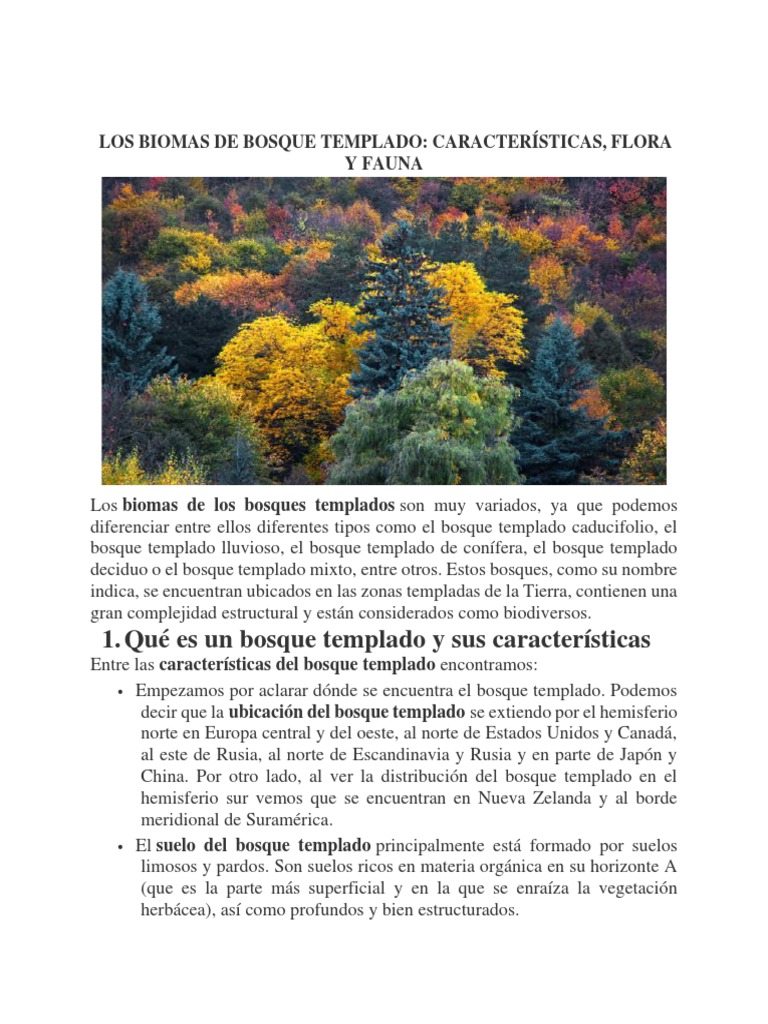 Los Biomas de Bosque Templado | PDF | Clima templado | Arboles