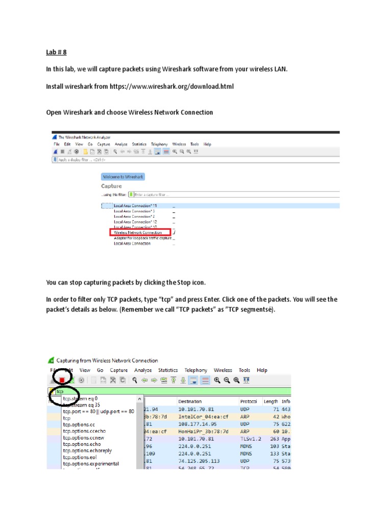 Lab 8 Pdf 