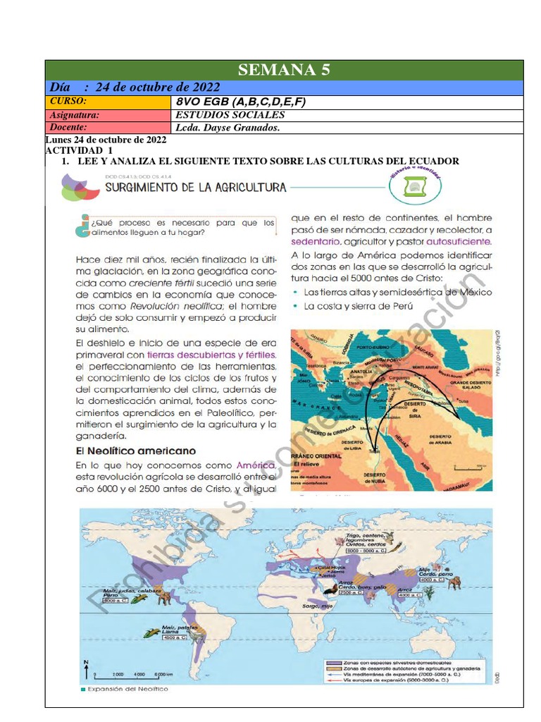 8vo EGB 2Q ACTIVIDAD SEMANA 5 DE EESS | PDF | Agricultura | Cazador recolector