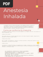 Parche de Graham | PDF