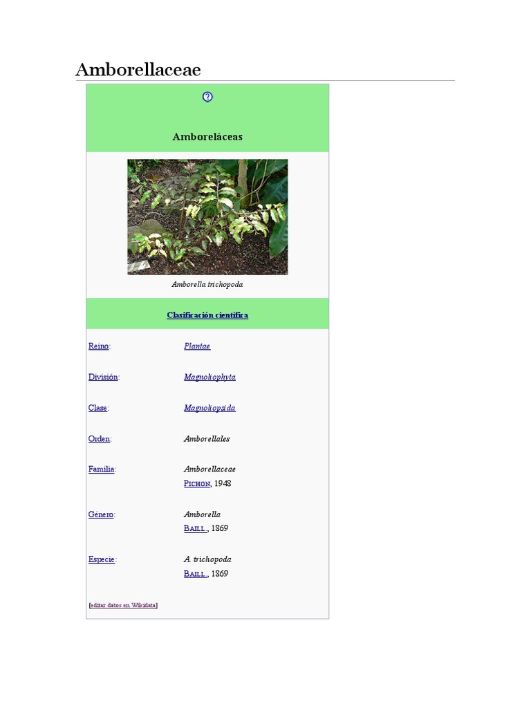 Amborellaceae Angiosperma Ancestral | PDF | Tallo de la planta | Hoja