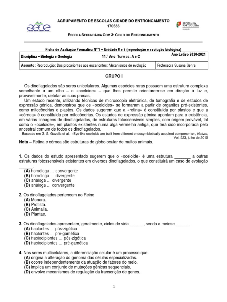 1 - U7 Ficha Formativa 1 | PDF