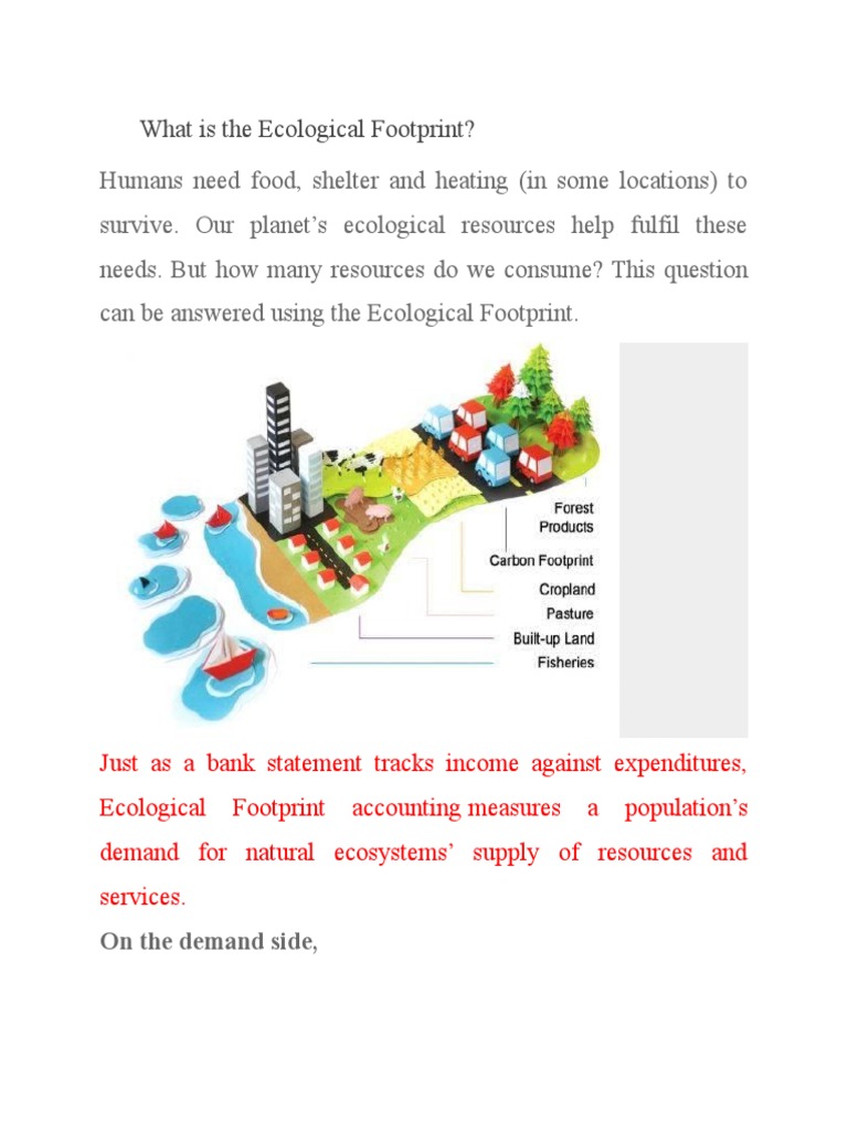 Unit 4.6 Ecological Footprint and Water Foot Print | Download Free PDF ...