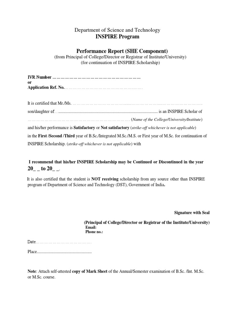 Format SHE Performance Report | PDF