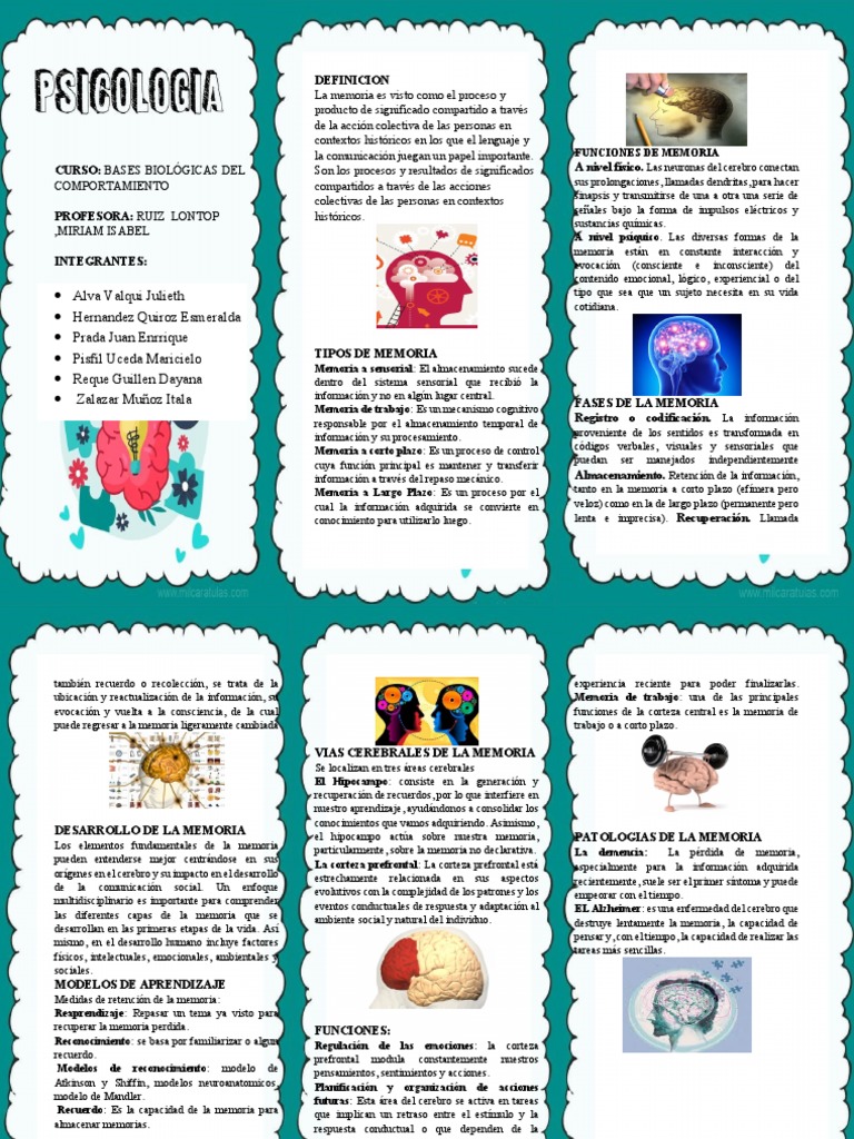 Triptico de Bases Biológicas de La Memoria | PDF