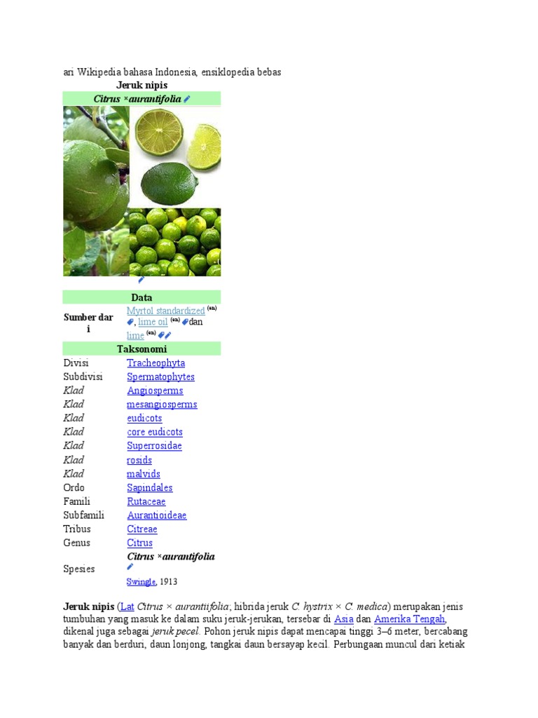 Jeruk | PDF