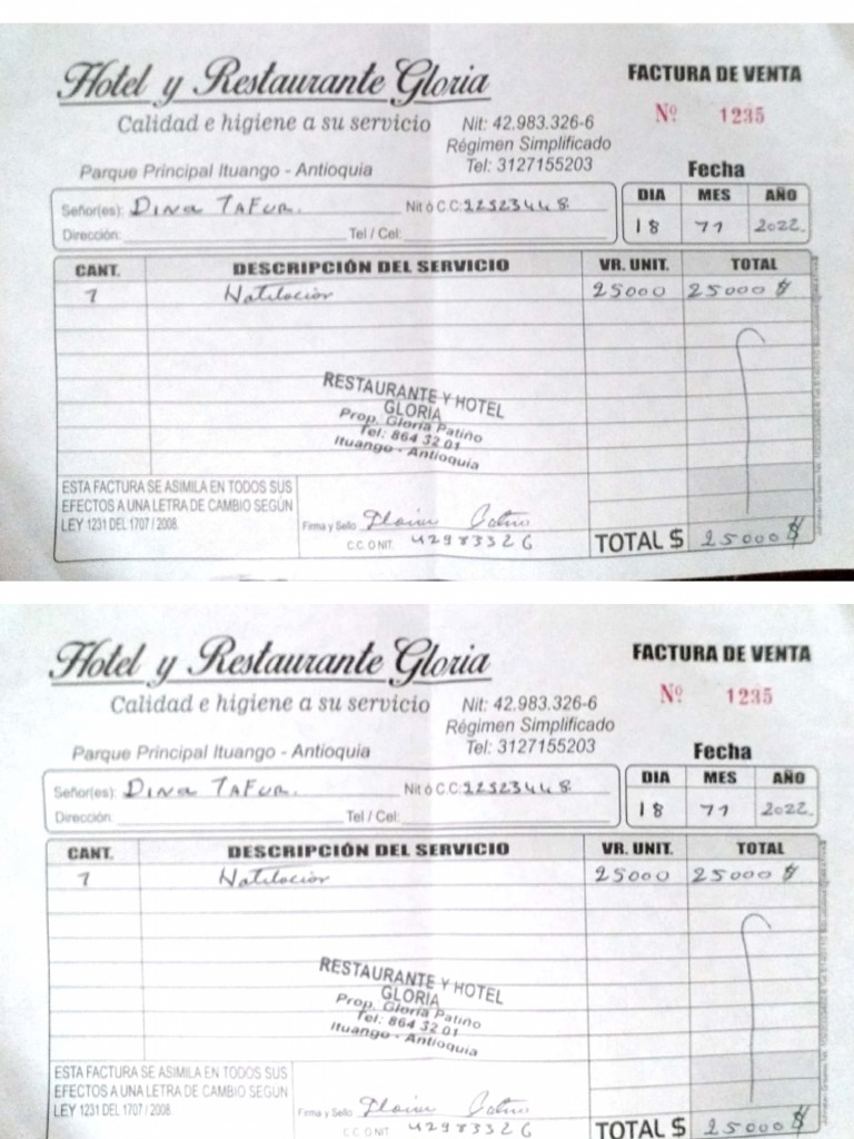 Factura de Hotel para Editar | PDF
