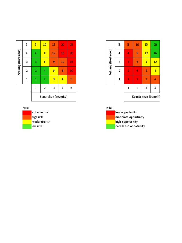 Risk and Opportunity Matrix | PDF