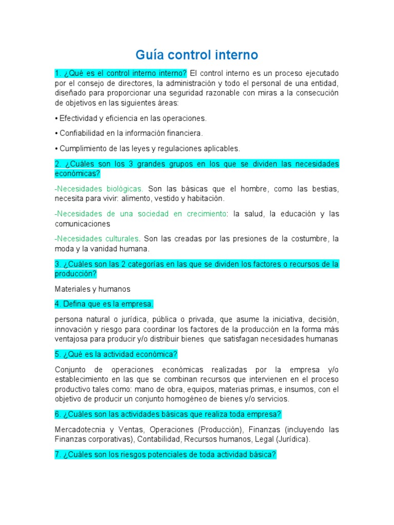 Guia Control Interno | PDF