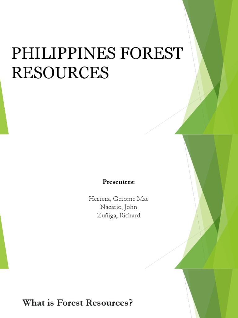Forest Resources | PDF | Forestry | Forests