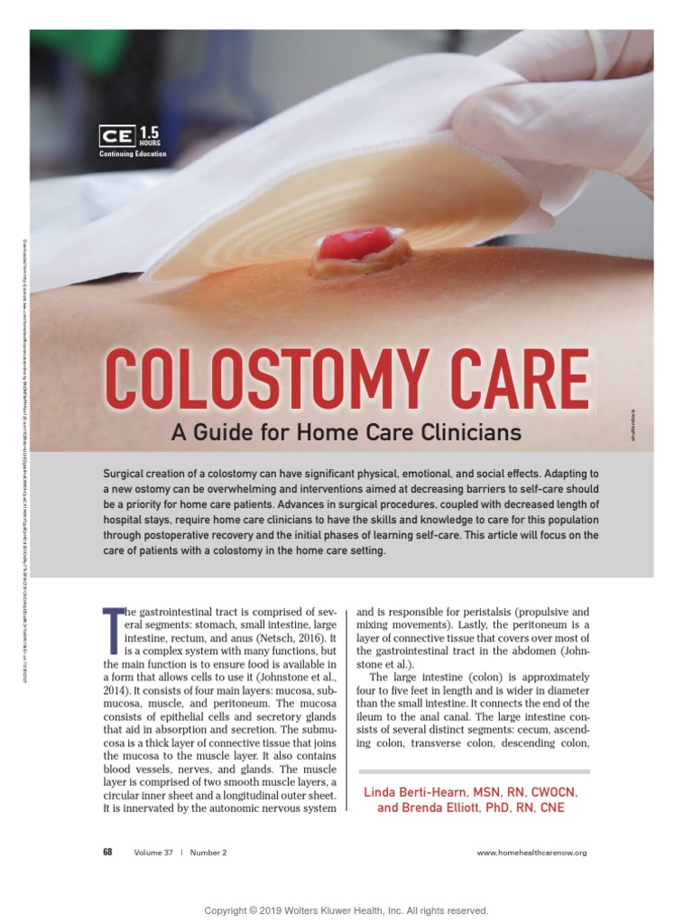 Colostomy Care A Guide For Home Clinicals | PDF