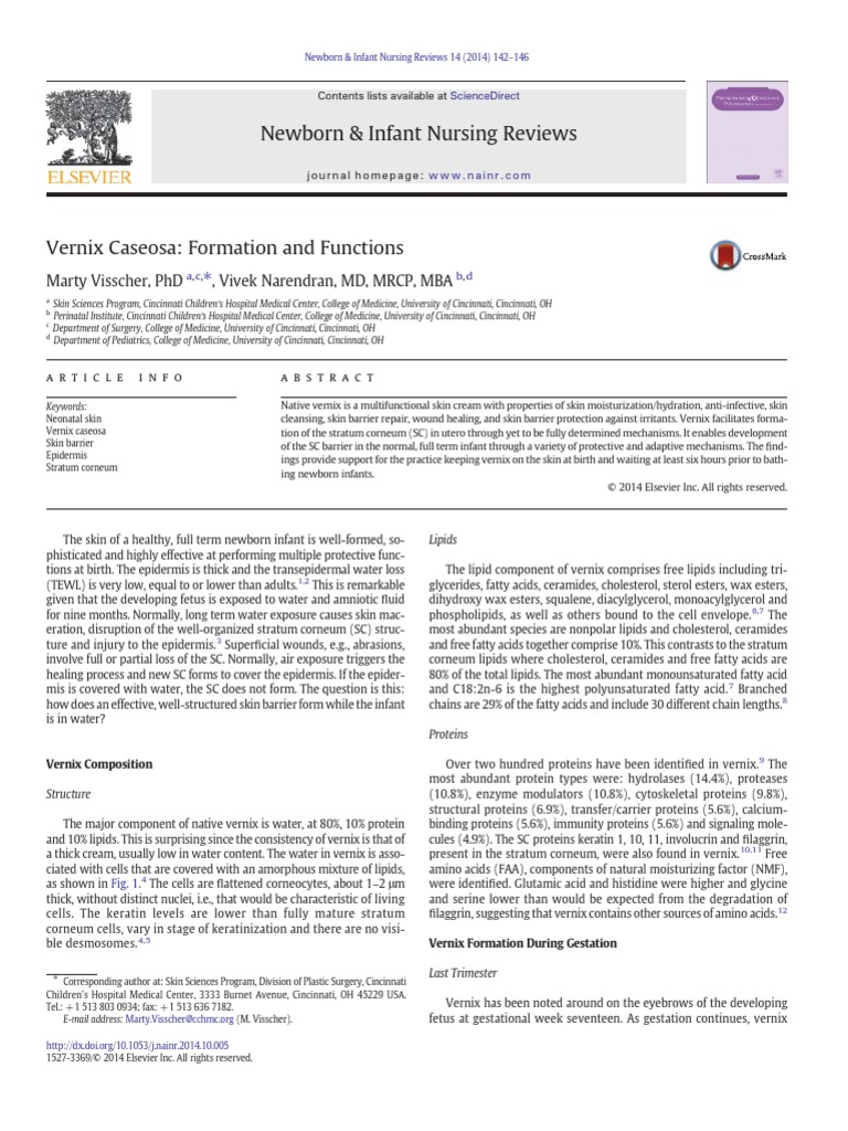 Vernix Caseosa Formation and Functions | PDF | Infants | Epidermis