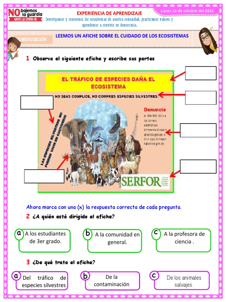 d1 A1 Ficha Leemos Un Afiche Sobre El Cuidado de Los Ecosistemas | PDF ...