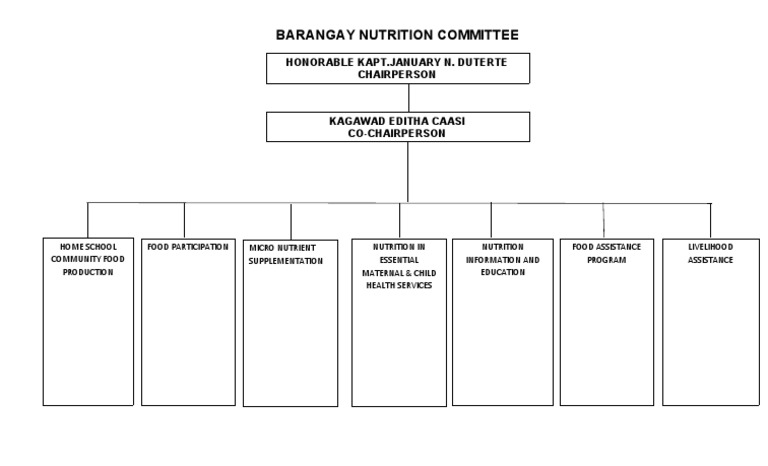 Barangay Nutrition Committee Initiatives | PDF | Wellness