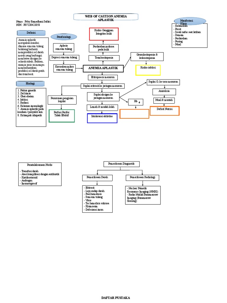 WOC Anemia Aplastik | PDF