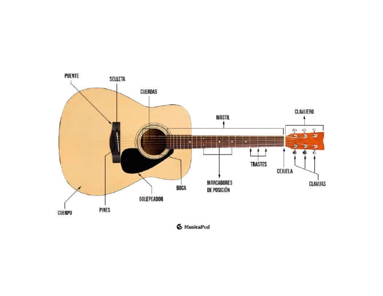 Partes de La Guitarra | PDF