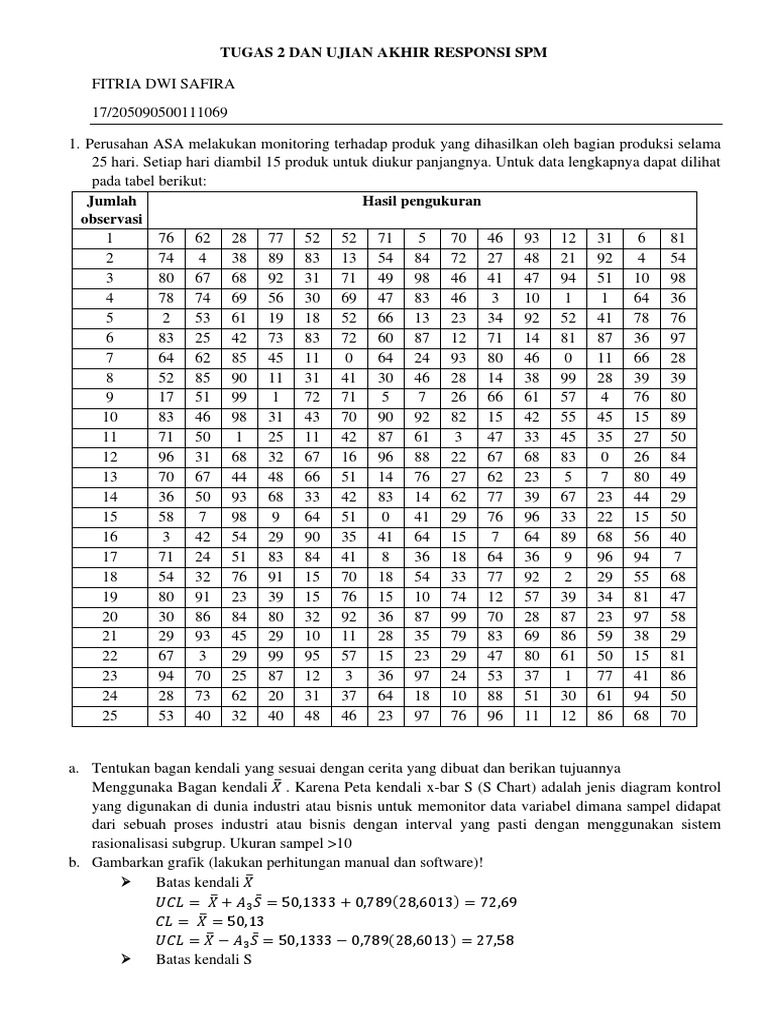 17 - 205090500111069 - Fitria Dwi Safira | PDF