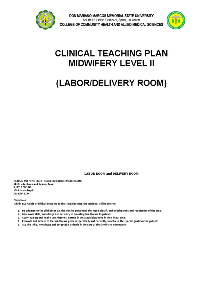 Clinical Teaching Plan 1 | PDF | Childbirth | Health Care