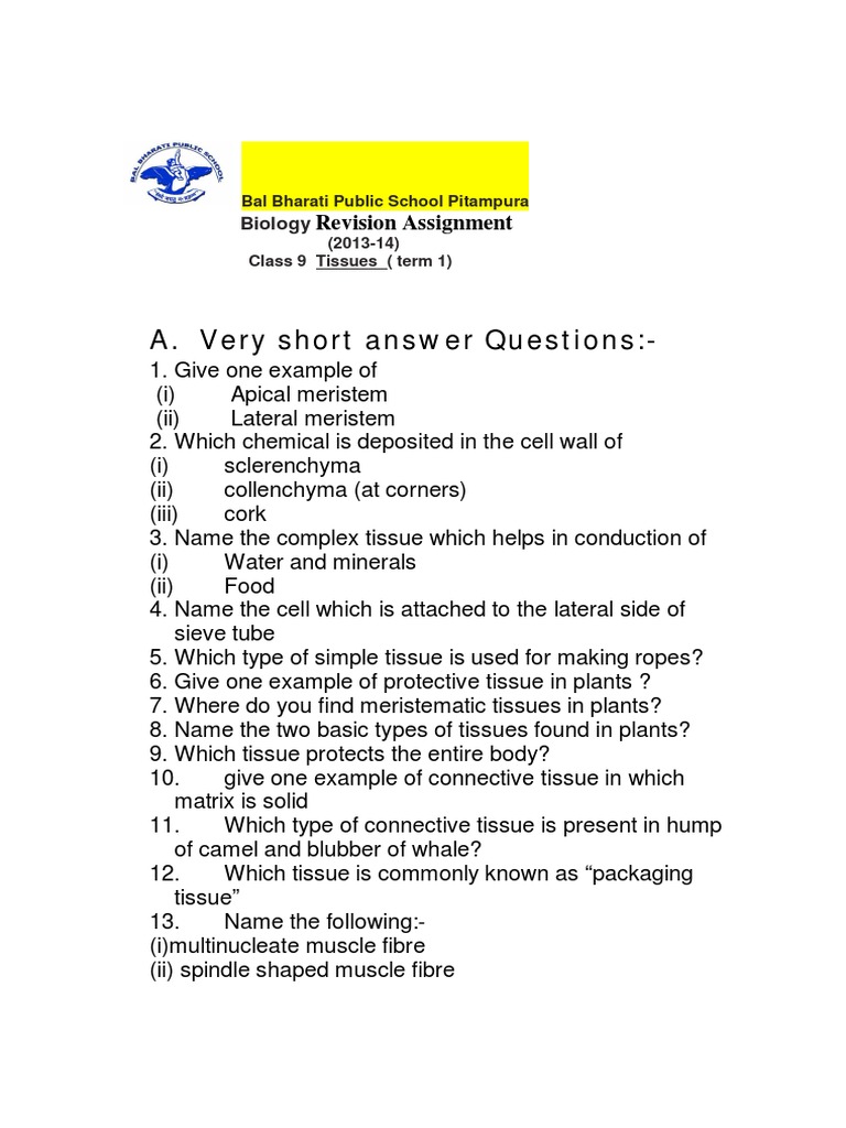 CBSE Class 9 Biology Worksheet - Tissues | PDF | Tissue (Biology) | Anatomy