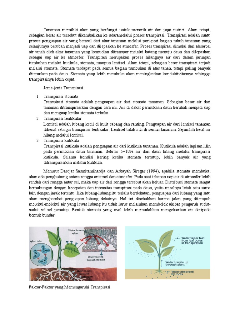 Proses dan Jenis Transpirasi Tanaman | PDF