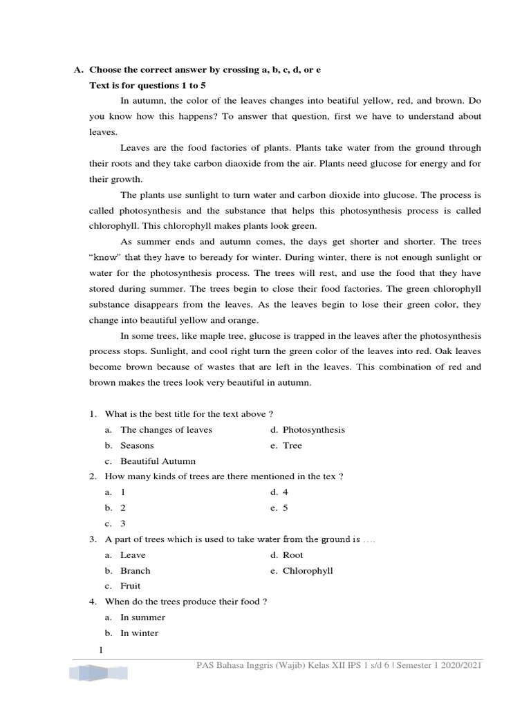 Pas Bahasa Inggris Kls Xii Ips 1-6 SMT 1 | PDF | Digestion | Photosynthesis