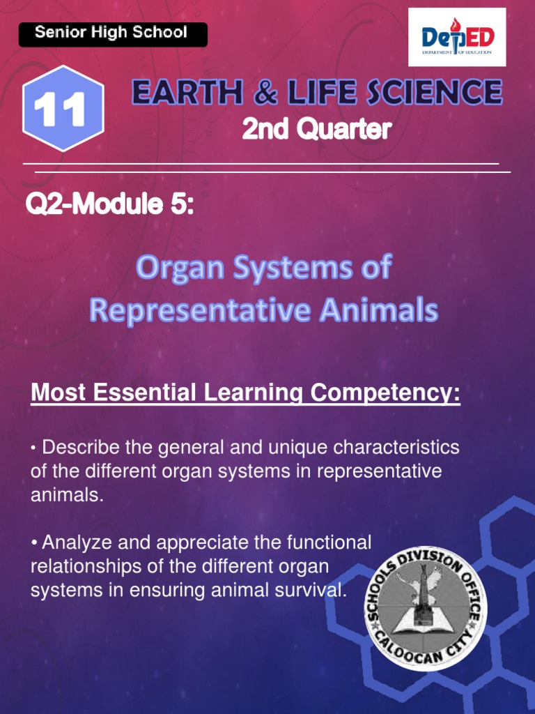 q2-w5 - Organ System of Representative Animals | PDF