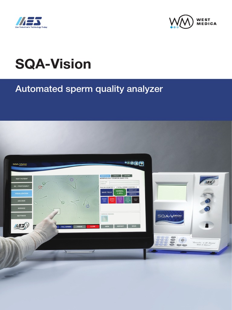 SQA Vision | PDF