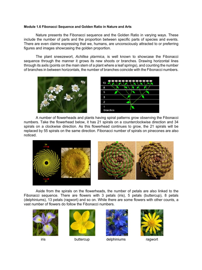 Module 1.6 Fibonacci Sequence and Golden Ratio in Nature and Arts | PDF