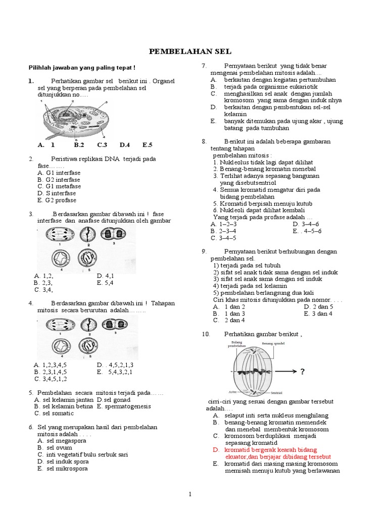 SOAL Pembelahan Sel | PDF