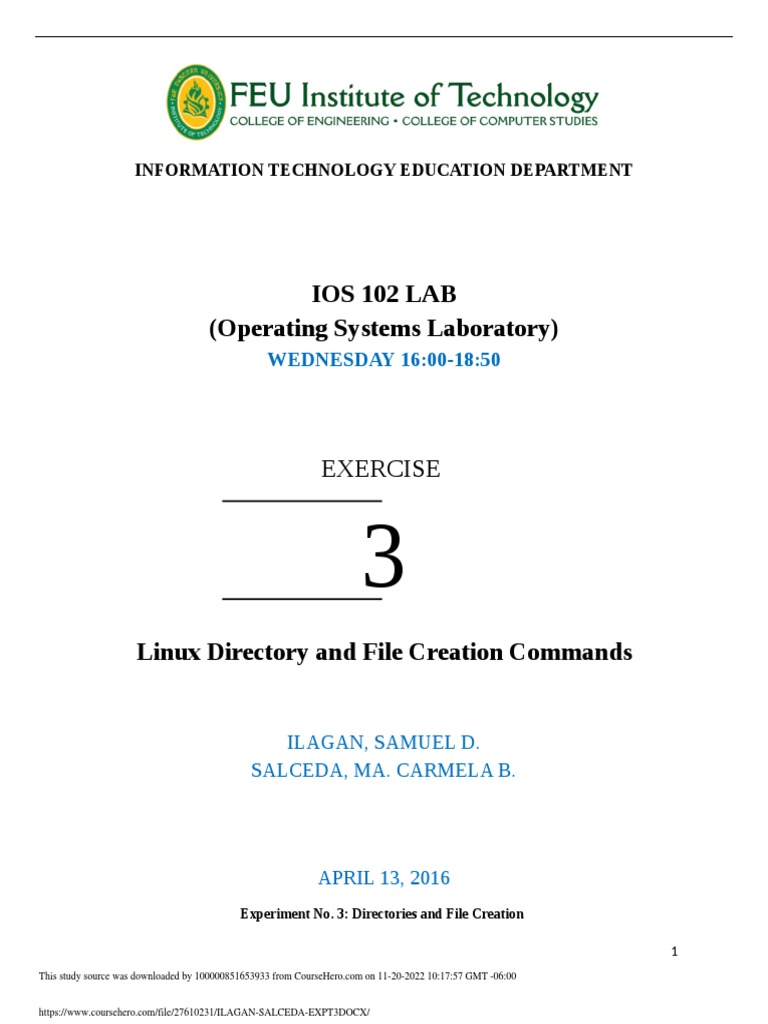 Ilagan Salceda Expt3 | PDF | Computer File | Computer Data