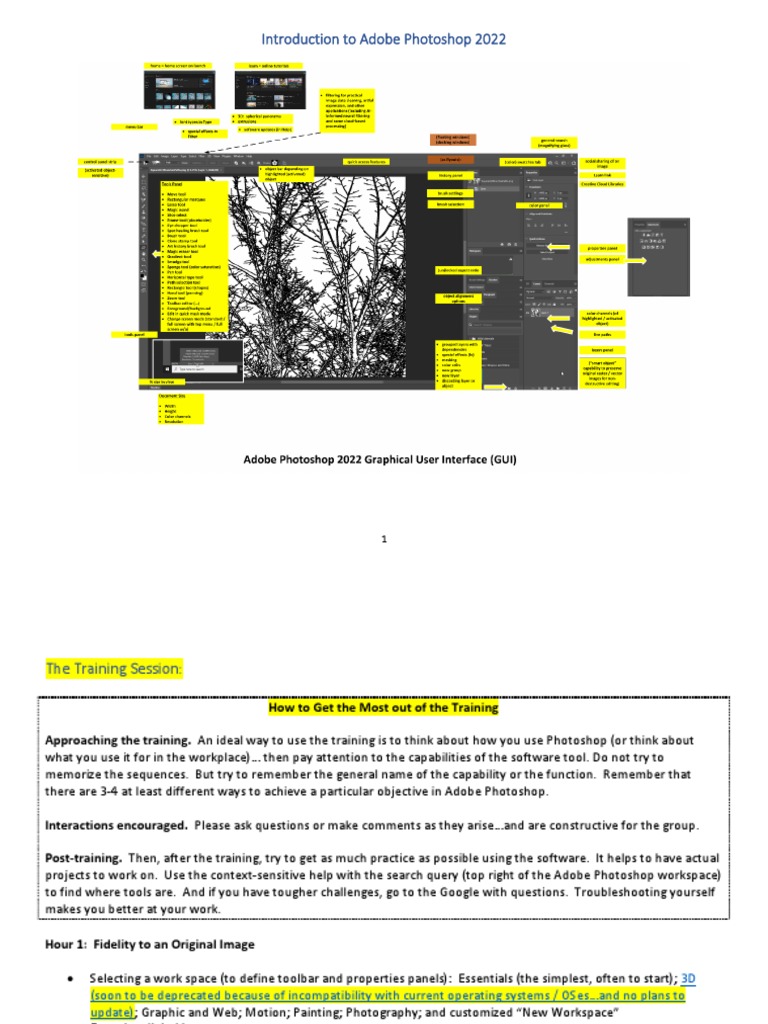 Intro Adobe Photoshop Handout | Download Free PDF | Adobe Photoshop ...