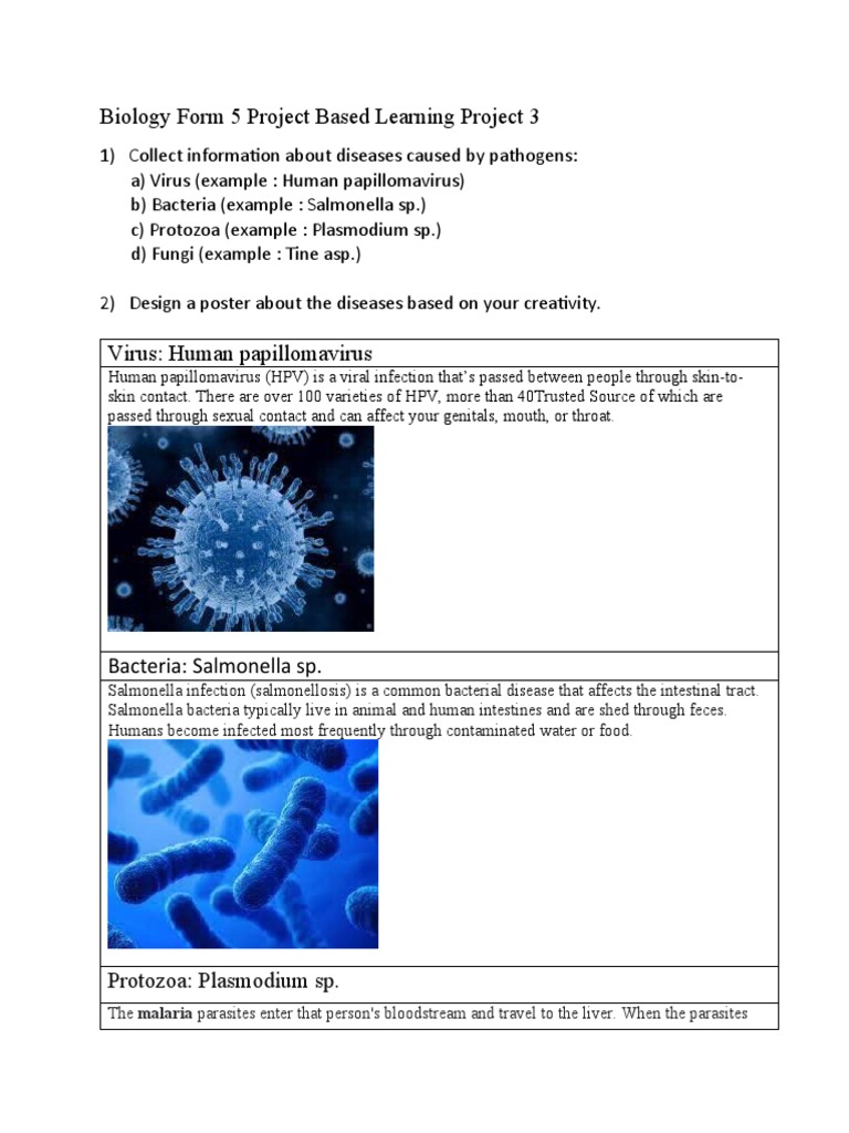 Biology Form 5 Project Based Learning Project 3 | PDF | Social Science ...