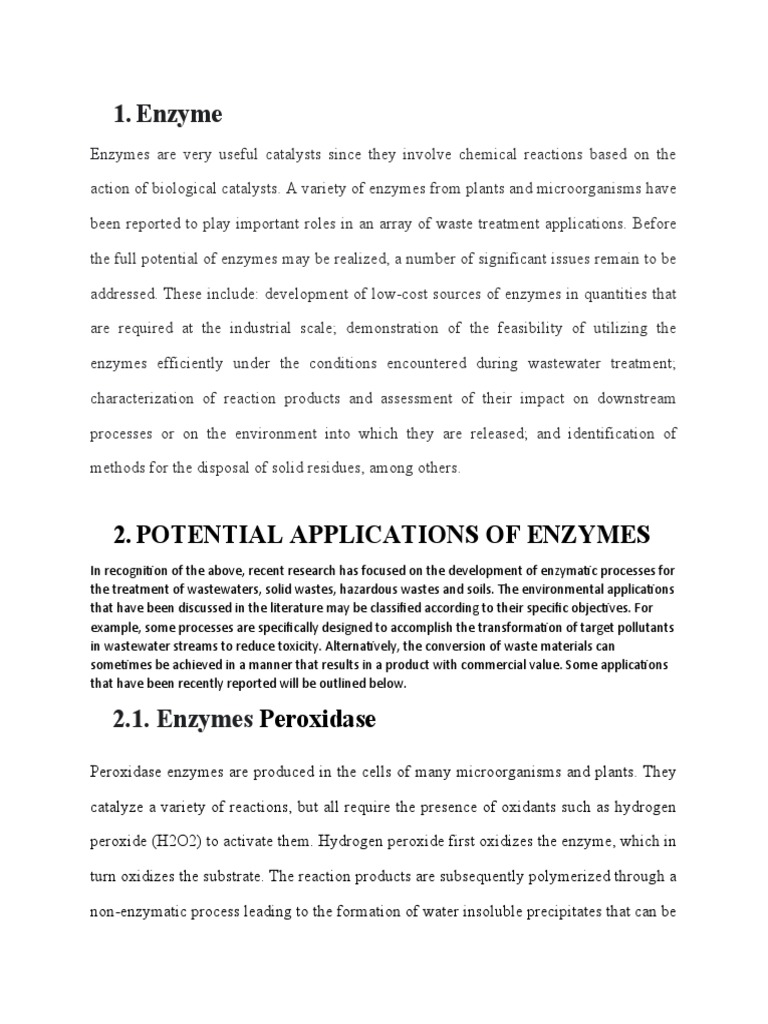 NG D NG C A Enzyme Trong Môi Trư NG | PDF | Enzyme | Hydrogen Peroxide