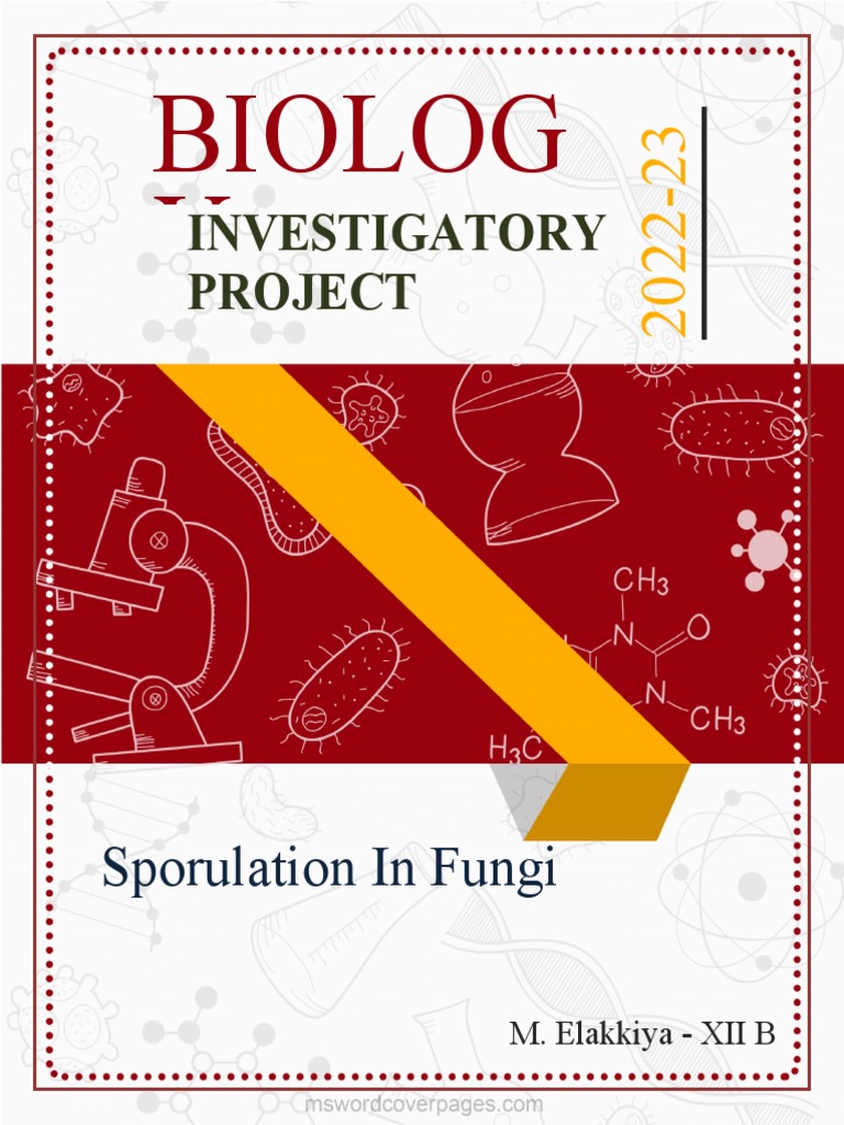 M Elakkiya Project | PDF | Flour | Mold